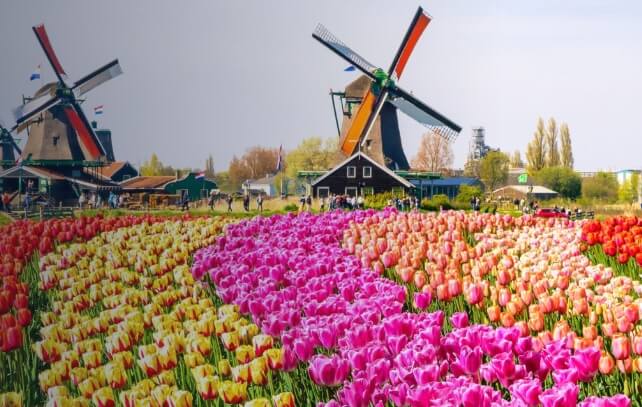 Global Hotel Alliance Launches Green Collection | Green Lodging News
