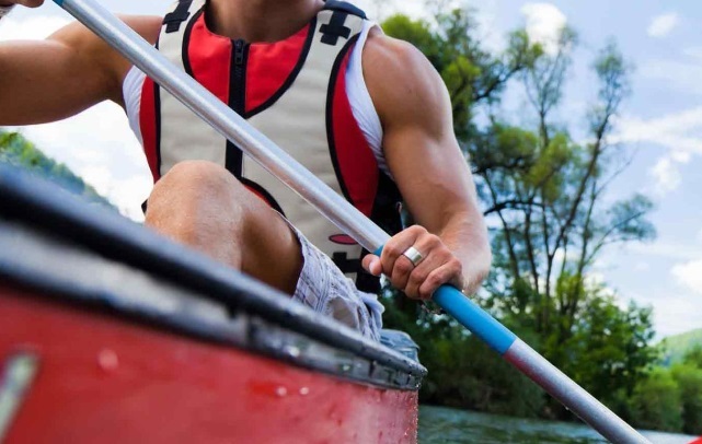 U.S. Sustainable Travel Insights Report 2024 | Green Lodging News