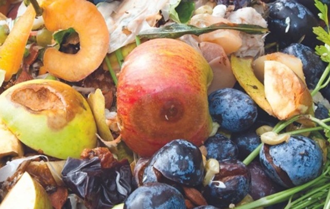 Food Waste Biodigesters & Their Many Environmental, Operational ...