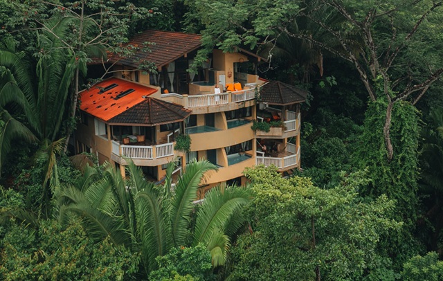 Monthly Earth Hour Just One Example of Eco-Focus at The Rainforest ...