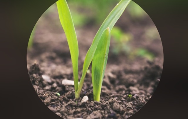 Sustainable Restaurant Association Report Highlights Examples of Best ...